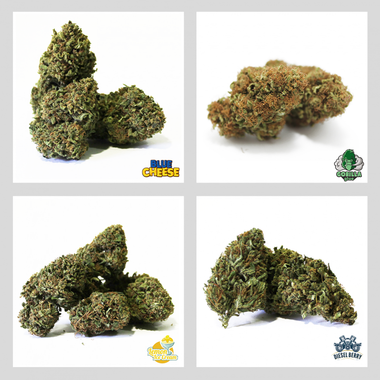 Oltre 100 varietà di infiorescenze di cannabis light (erba, canapa ...